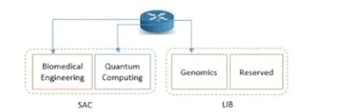 Solved Suppose NSU Has A Bunch Of IP Addresses With Chegg Com