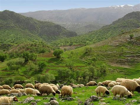 ایلام زیبا عکس از آقای سعید احمدی