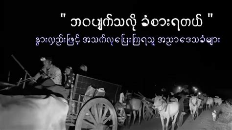 ဘဝပျက်သလို ခံစားရတယ် နွားလှည်းဖြင့် အသက်လုပြေးရသူ အညာဒေသခံများ ဘဝပျက်သလို ခံစားရတယ် န