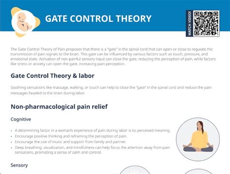 Gate Control Theory And Labor Free Cheat Sheet Lecturio