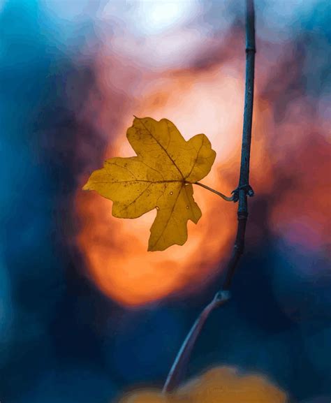 Do You Know The Simple Way To Hapiness By Vida Karami May 2023 Medium