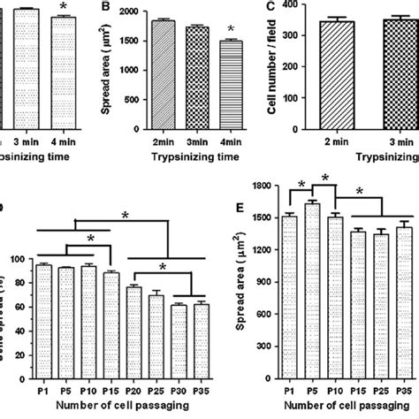 A C Effects Of Trypsinization On Cell Spreading And Migration Of