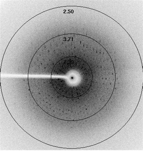 X Ray Diffraction Pattern Of Cormorant Haemoglobin Download Scientific Diagram