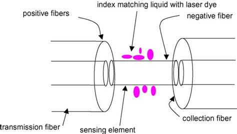 Fibre Based Evanescent Wave Fluorescence Sensor Download Scientific