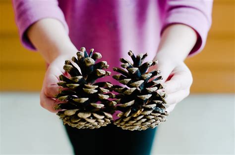 Diy Bird Feeder Kit T Idea The Salt Project Diy Bird Feeder Kit T Idea The Salt Project