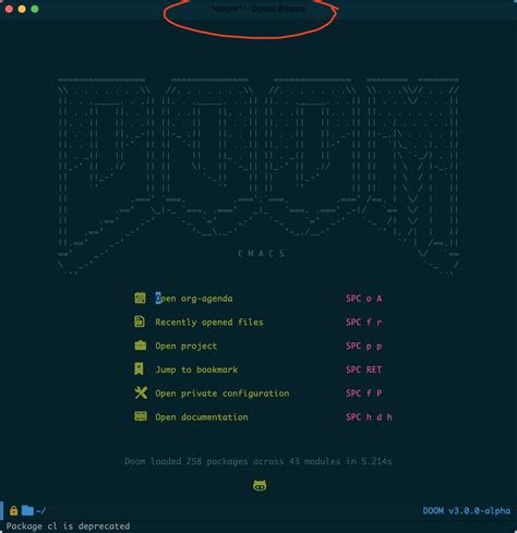 不定时汇报在macOS Big Sur上安装emacs plus 28 with Doom Emacs的进展和实验结果欢迎讨论 Emacs general Emacs China