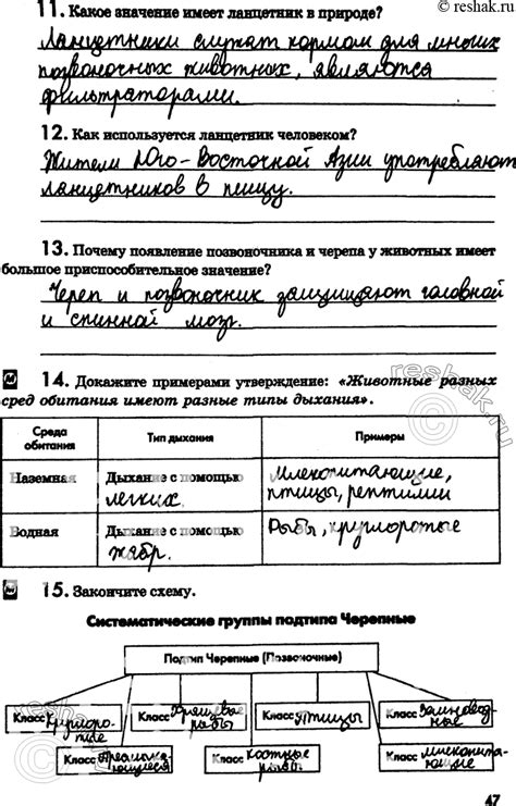 Решено Ответы на вопросы страница 47 ГДЗ Латюшин Шапкин Рабочая тетрадь 7 класс по биологии с