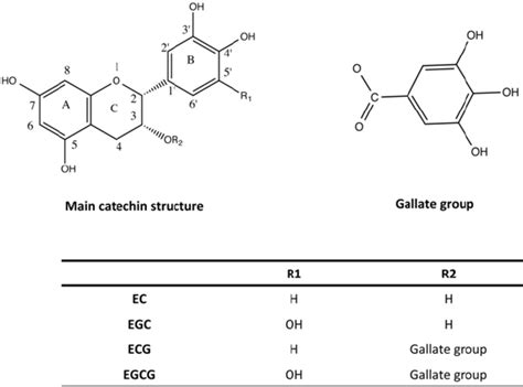 Chemical Structures Of The Four Main Green Tea Catechins A My Xxx Hot Girl