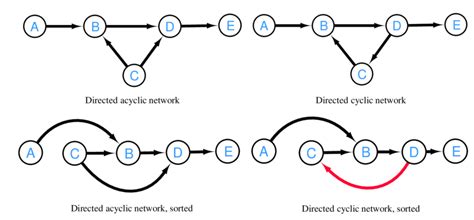 Examples Of Acyclic And Cyclic Networks Download Scientific Diagram