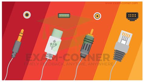 computers input and output devices exam corner