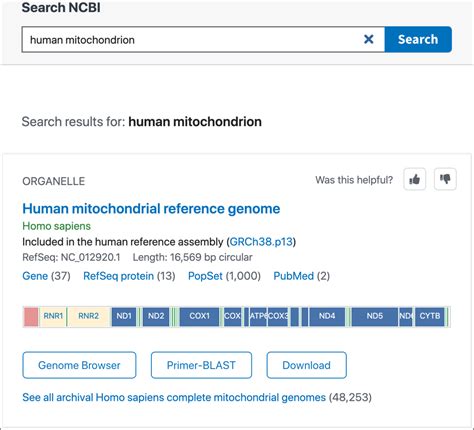 Ncbi Nucleotide Archives Ncbi Insights