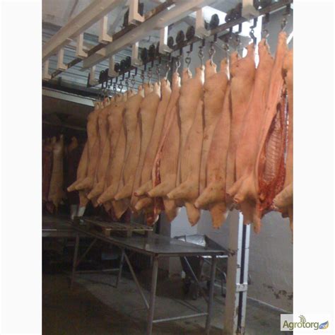 Продам мясо свинины в полутушах Херсонская обл Свинина — Agrotorg