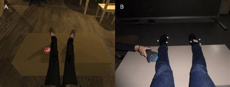 3 Example Of Visuotactile Stimulation On The Virtual Body Through A Download Scientific