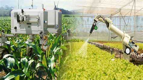 Watch This Extremely Automated Robotic Farming Showing Unbelievable Auto Farm Urban