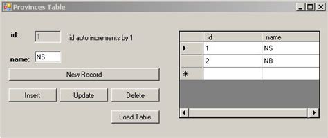 Mysql C Windows Application Access Database Data Doesnt Persist On