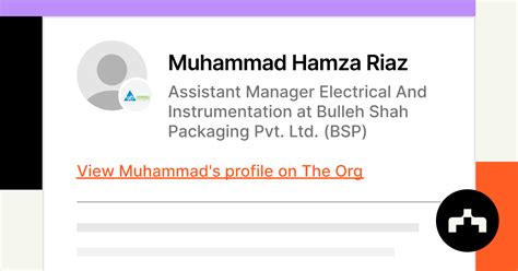 Muhammad Hamza Riaz Assistant Manager Electrical And Instrumentation At Bulleh Shah Packaging