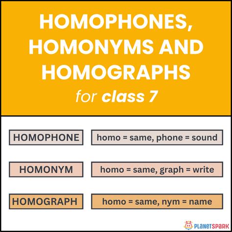 Class 7 English Worksheet All Types Of Determiners Planetspark