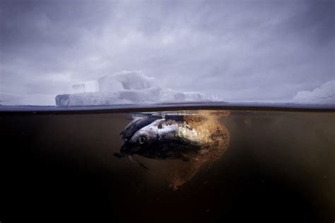 Eine Durchgehend Schmutzige Geschichte Der Freitag