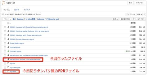 【in silico 創薬】pyrosettaによるpymol上でのタンパク質可視化 labcode