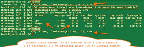 stress test cpu and memory vm on a linux unix with stress ng nixcraft