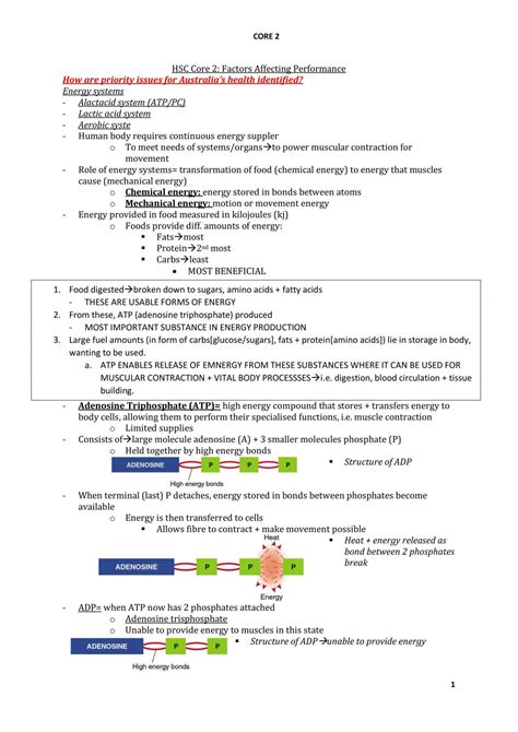 Pdhpe Core 2 Notes In Full Detail Personal Development Health And Physical Education Year