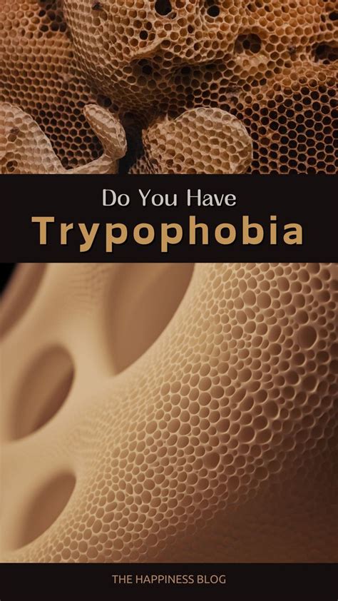 Pin On Fear And Phobia Psychology