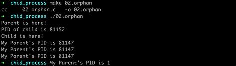 What Is The Difference Between An Orphan Process And A Zombie Process