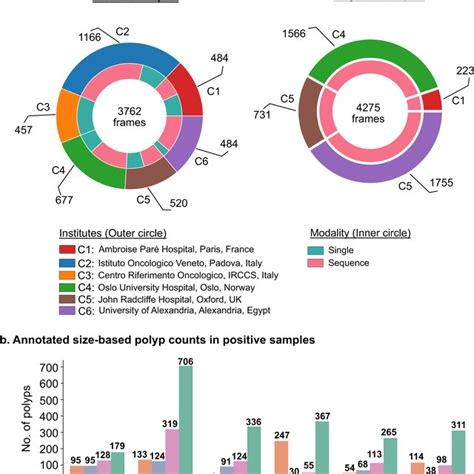 Narrow Band Imaging International Colorectal Endoscopic Nice Download Scientific Diagram