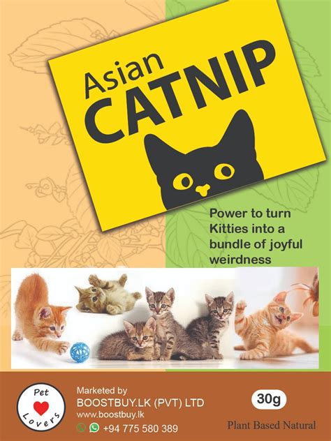 Catnip Leaves 100 Natural Catnip Treat Happy Cat Pack Catnip Cats Kitten Treat Pack Boostbuy