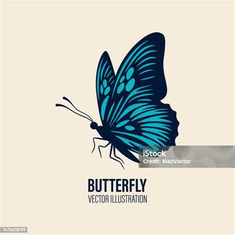 벡터 손으로 그린 나비 아이콘 근접 촬영은 흰색 배경에 격리되어 있습니다 나비 디자인 서식 파일 로고에 대 한 개요와 나비의 빈티지 벡터 그림 문신 디자인 0명에 대한 스톡