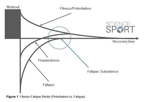 Post Activation Potentiation