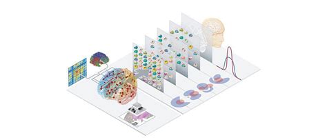 Lisa Otten On Linkedin Virtual Ageing Brain Model On Ebrains Simulates How Our Cognition Declines…