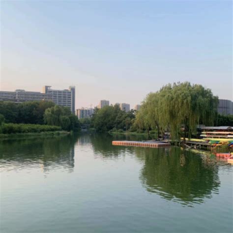 Gao Ya Zhejiang University Hangzhou Zju Department Of Environmental Science Research