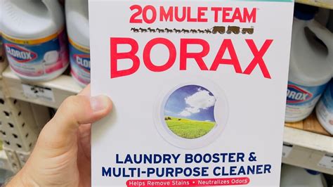 Why Youll Want To Have Borax On Hand If You Have A Carpenter Bee Problem