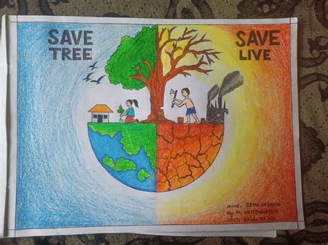Top 999 Save Trees Images Amazing Collection Save Trees Images Full 4k