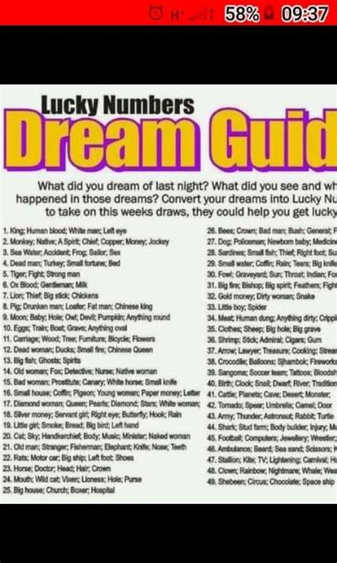 The Lucky Numbers Dream Guide