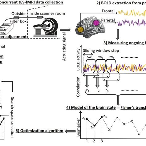 The Process Of Integrating Tes With Fmri In A Real Time Closed Loop