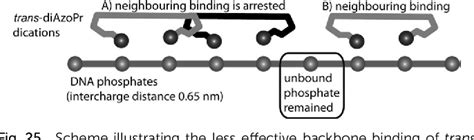 Figure 25 From Recent Developments In Reversible Photoregulation Of Oligonucleotide Structure