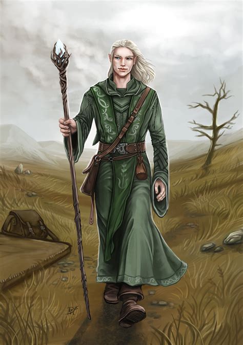 Commission Aelindir Von Lowangen Dsa By Diana Rahfoth Neferu R