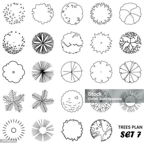 나무의 벡터 일러스트 레이 션 계획보기 건축 및 조경 디자인 세트 7에 대 한 손으로 그린 개체 그룹에 대한 스톡 벡터 아트 및 기타 이미지 Istock