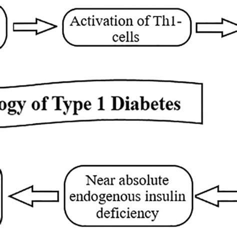 Pathophysiology Of Type 1 Diabetes Download Scientific Diagram