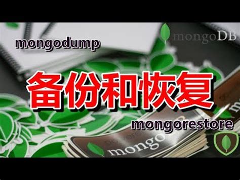 15MongoDB学习备份和恢复 mongodump mongorestore YouTube