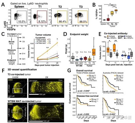 Science刊登中性粒细胞分型研究｜上海市免疫治疗创新研究院黄来源lai Guan Ng团队解析肿瘤相关中性粒细胞的异质性 知乎