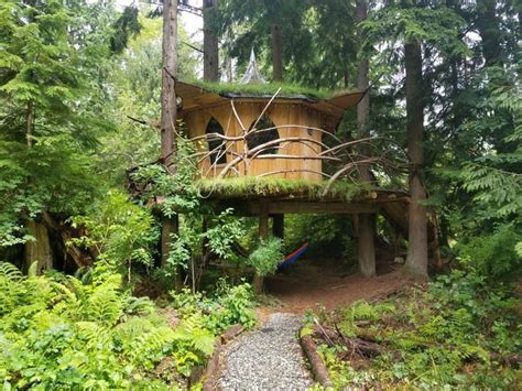 Top Treehouses In Washington State For 2025