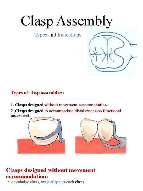 Lec 11 Clasp Assembly Pdf Mouth Dentistry Branches