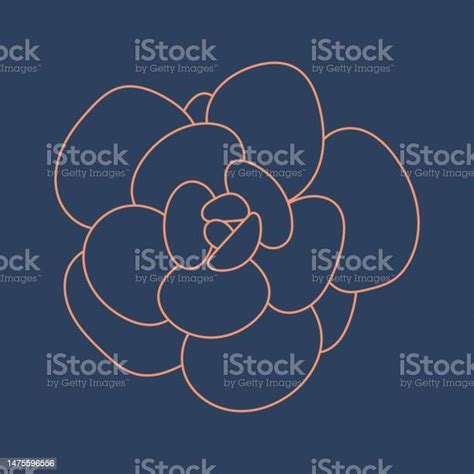 손으로 그린 귀여운 즙이 많은 낙서 스타일 그래픽 스케치 홈 꽃 에케 베리아 가구에 대한 스톡 벡터 아트 및 기타 이미지 가구 공장 산업 건물 귀여운 Istock