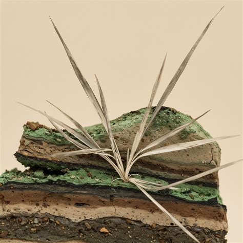 Urban Ecological Design → Term