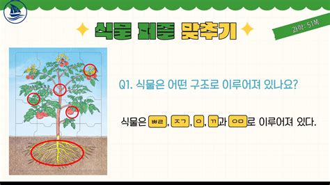 천재 이 6학년 1학기 3단원 식물의 구조와 기능 1차시 Ppt 6학년 1학기 4단원