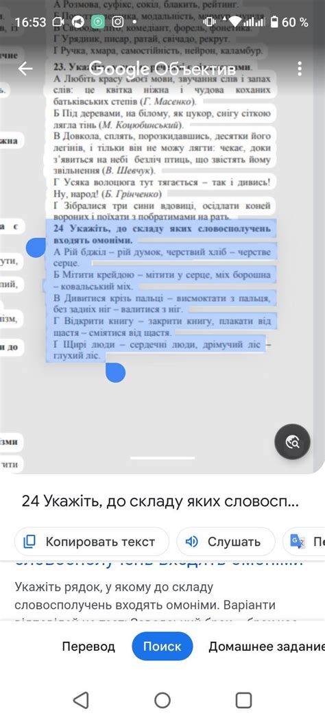 24 Укажіть до складу яких словосполучень входять омоніми А Рій бджіл рій думок черствий хліб