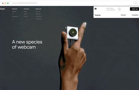 Excellent Webflow ECommerce Examples